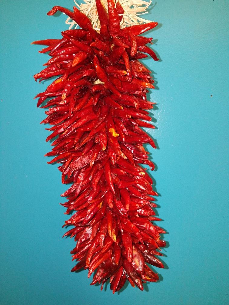12in Piquin Red Chile Ristra – Chile Traditions