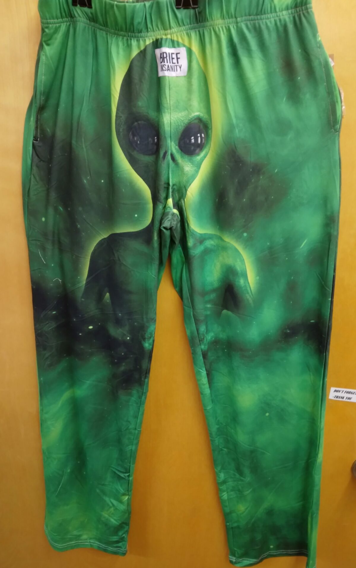 Brief Insanity Alien Pants – Chile Traditions